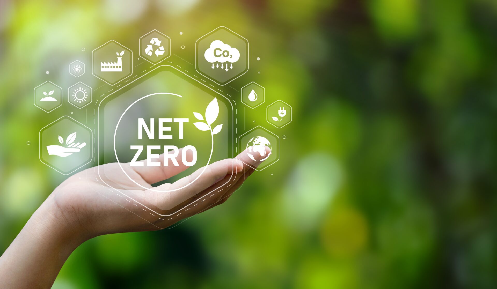 SBTi Net Zero Standard: What Retailers Should Know - City Facilities ... SBTi Net Zero Standard: What Retailers Should Know - City Facilities ...